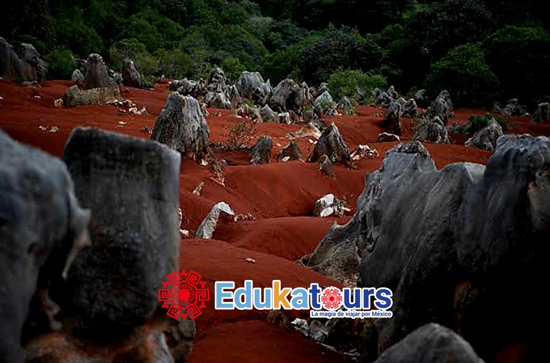 TOUR DUNA ROJAS DE PACULA - EDUKATOURS