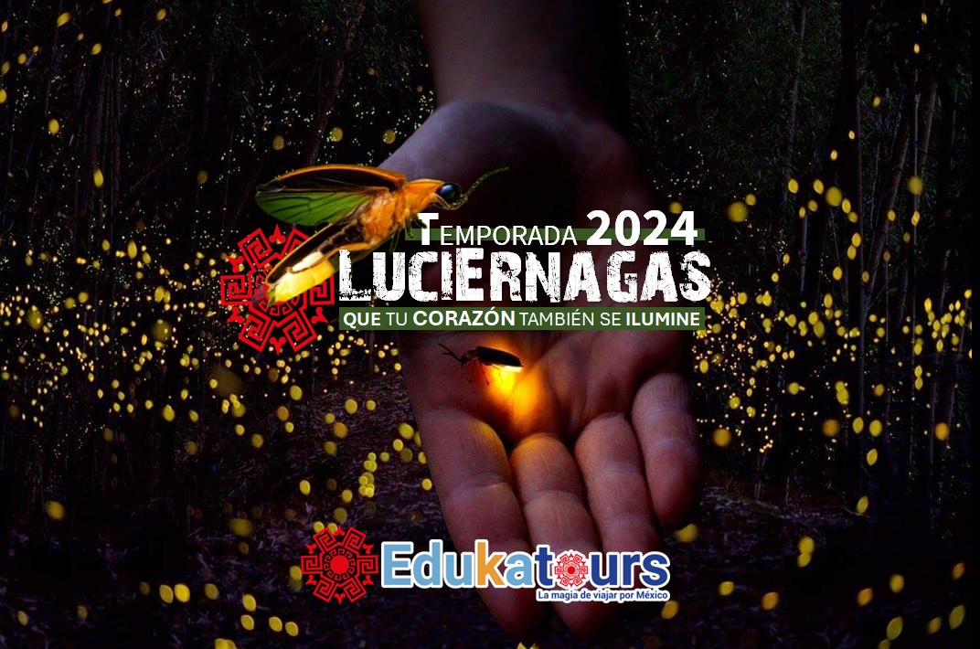 TOUR SANTUARIO DE LAS LUCIÉRNAGAS - EDUKATOURS